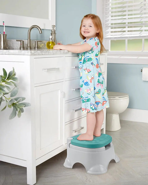 Fisher Price 3-in-1 Potty Chair Training & Step Stool- Baby Bamboo